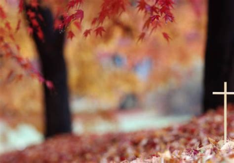 가을철 운동을 통한 건강관리법