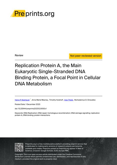 Pdf Replication Protein A The Main Eukaryotic Single Stranded Dna Binding Protein A Focal