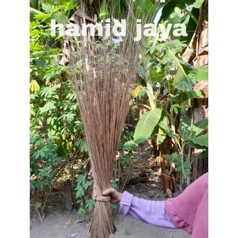 Jual Sapu Lidi Daun Kelapa Jumbo Shopee Indonesia