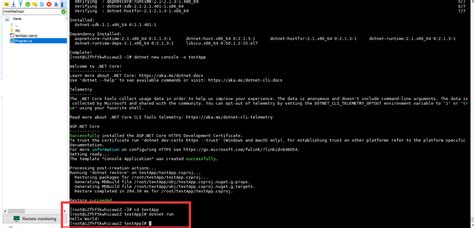 Net Core 在linux系统运行 骇客hk 博客园