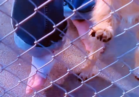 Daniel Goddards Feet