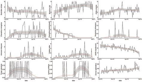 Temporal Variation In Bird Species Abundance On A Remote Indian Ocean