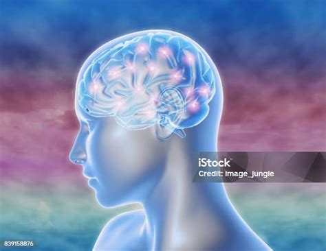 뇌 기능을 생각 합니다 신경과 신경 과학 개념 여자 얼굴과 뇌 3d 렌더링 Mental Wellbeing에 대한 스톡 사진 및 기타 이미지 Mental Wellbeing
