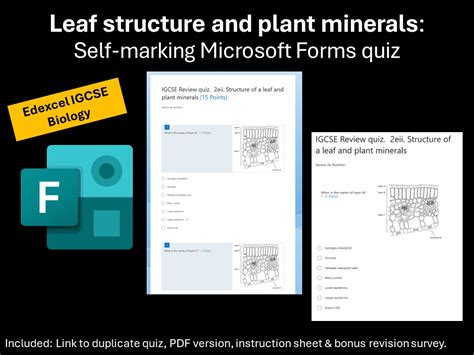 Gcse Forms Quiz Leaf Structure And Plant Minerals Teaching Resources