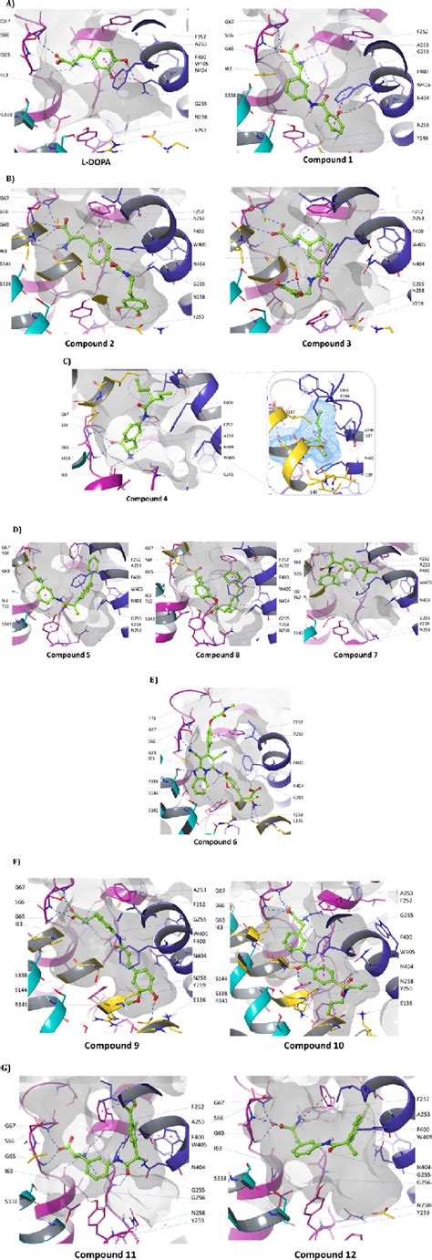 Favorable Docking Poses Of Compounds To The Lat1 Cryo Em Structure Tm1