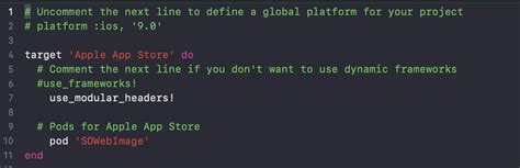Swift App Crashes When I Run It On Physical Device Using Cocoa Pods