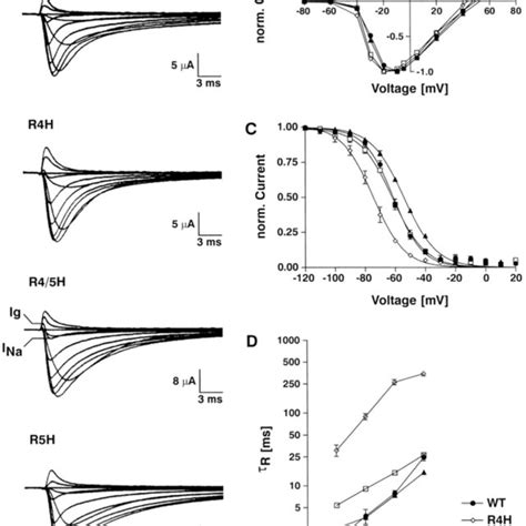 Recovery From Fast Inactivation Of Macroscopic Ionic And Gating