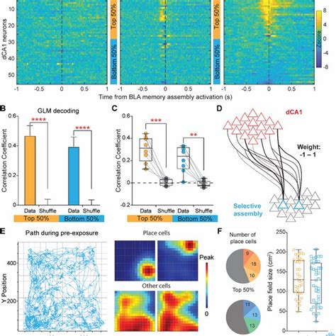 Emerging Many To One Weighted Mapping Underlies Memory Formation Download Scientific Diagram