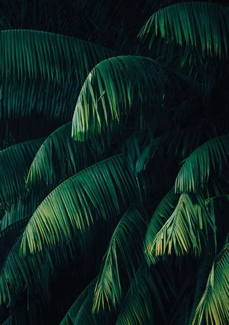 Welcome To Prente Wall Art And Poster Shop