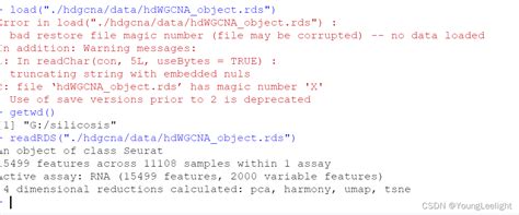 Readrds“hdgcnadatahdwgcnaobjectrds“ Bad Restore File Magic