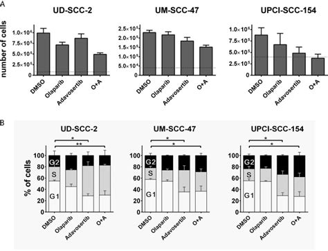 Dual Inhibition Of Parp And The Intra S G2 Cell Cycle Checkpoints
