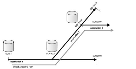 Mohankumar What Is “incarnation” In Oracle Database