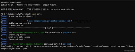 maven构建生命周期 mvn dependency purge local repository csdn博客