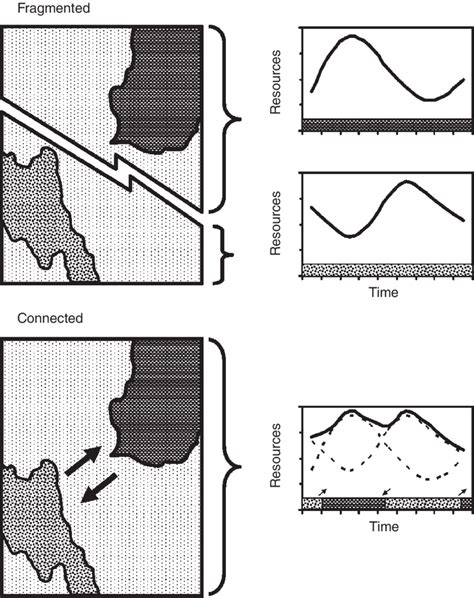 Illustration Of The Concept Of Spatial Buffering In Unfragmented Download Scientific Diagram