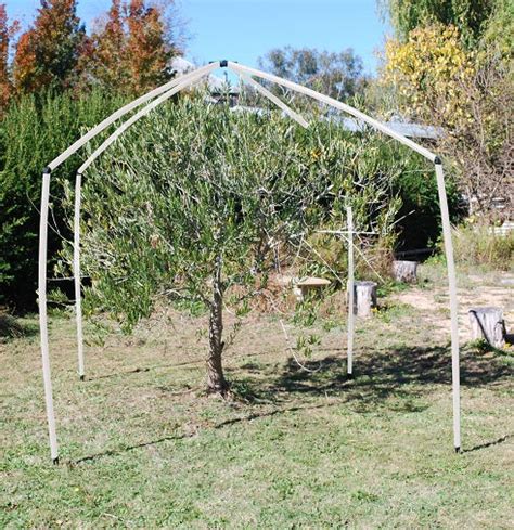 Flexi Garden Frames Blog Page 5