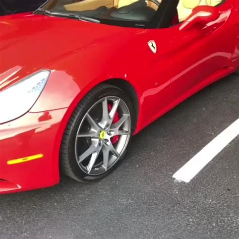 Ferrari Steve Van Gorder