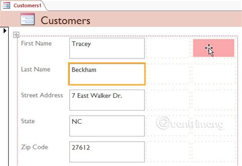 Format Forms In Access