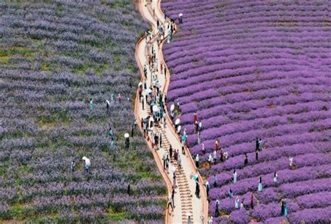 红河旅游 “中国天然氧吧城市” 红河弥勒