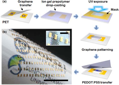A Schematic Diagram Of The Fabrication Procedure For Flexible Download Scientific Diagram