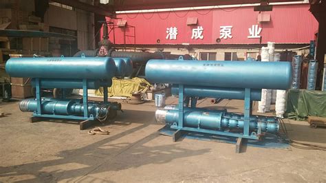 浮筒式潜水泵的简介及优点 潜水泵 潜水电泵 天津潜水泵厂家 潜成泵业