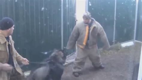 ქართული ნაგაზების წვრთნა Youtube