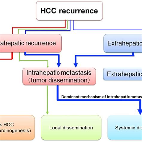 Tree Diagram Of Hcc Recurrence Intrahepatic Recurrence Of Hcc After