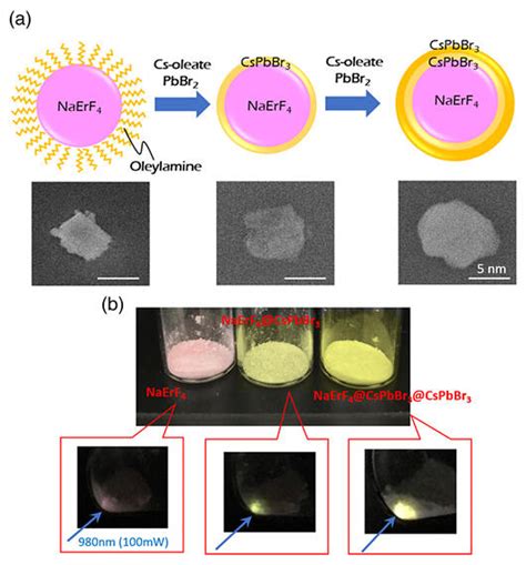 Teikyo University Of Science Succeeds In Effectively Converting Weak