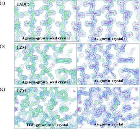 Electron Density Maps Contoured At 20σ With 2f O − F C Download Scientific Diagram