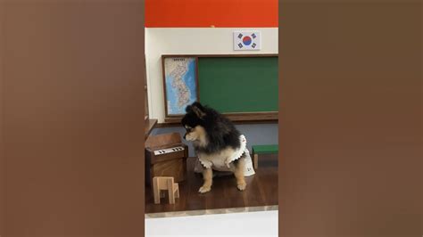 딴짓하는 학생 Youtube