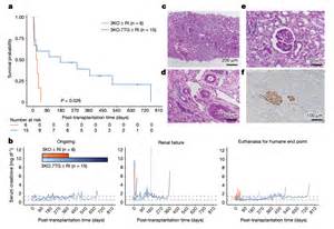 Nature：乔治·丘奇团队创造猪器官异种移植新纪录，69处基因编辑，异种移植后存活超2年 腾讯新闻