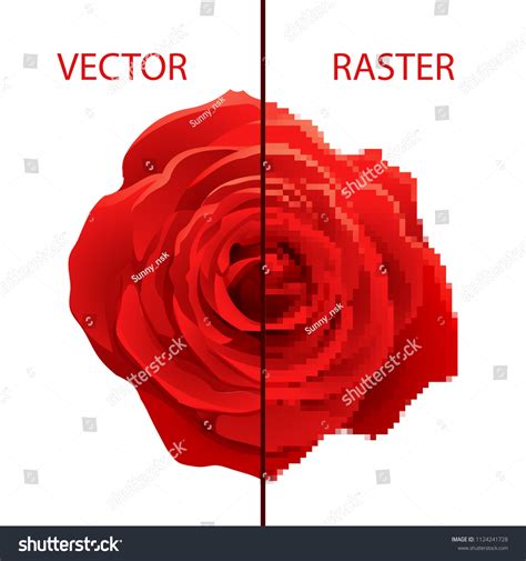 Example Vector Raster Comparison Difference Between Stock Vector