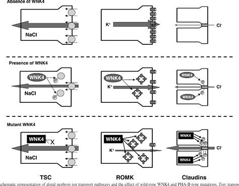 Warnock Algorithm Semantic Scholar