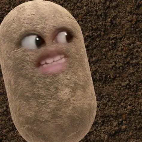 Kentang Is Potato Sticker Pack For Whatsapp