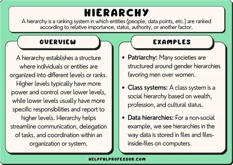15 Hierarchy Examples 2025