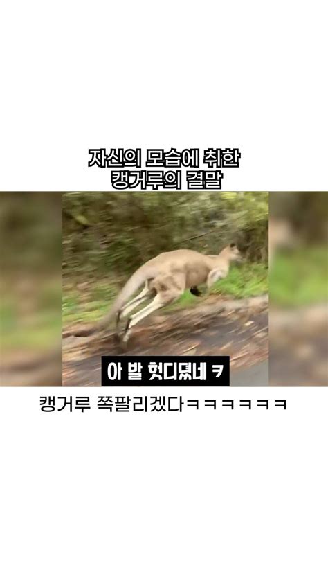 유머플릭스유머이슈 삠삐 28800분 숙성한 스테이크 삼겹살 네이버 검색창에 육성급 검색 365일 개꿀잼 게시물 업로드 좋아요팔로우하고 매일 웃어보자🤣