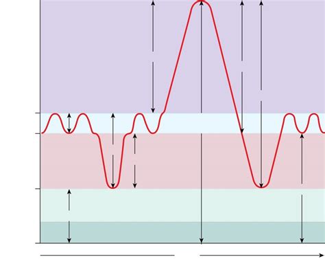 A P Lab 26 Spirogram Diagram Quizlet