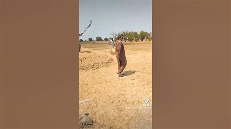 ٹھنڈا پانی ٹھنڈی چھاؤں Youtube