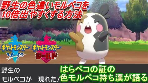 【ポケモン剣盾】野生の色違いモルペコを10倍出やすくする方法。色違いモルペコのはらペコの証持ちを保有している俺が語るw Youtube