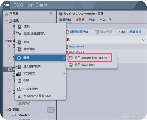 【服务器运维】如何解决vmware Esxi8上的固态硬盘识别为非ssdesxi显示非ssd Csdn博客