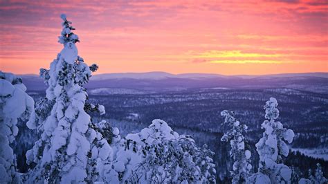 Finlande Monty Armstead