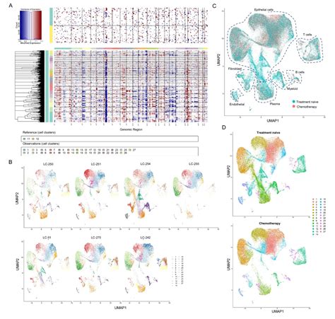 10x单细胞空间联合分析人类小细胞肺癌肿瘤生态系统和空间结构小细胞肺癌 单细胞测序 Csdn博客