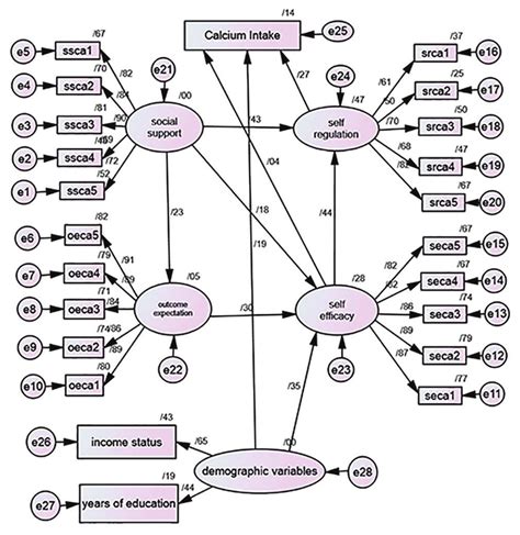 Structural Equation Analysis Of The Final Social Cognitive Model Of Download Scientific Diagram