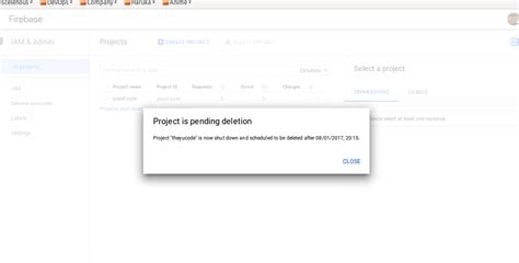 How To Delete Current App From Project In Firebase Stack Overflow