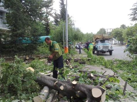 ეკოლოგიური პრობლემები ფოტო გალერეა