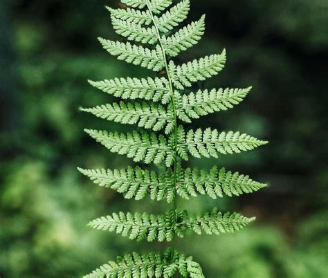 Naujienos Uab Klaipėdos Regiono Atliekų Tvarkymo Centras Naujienos Uab Klaipėdos Regiono Atliekų Tvarkymo Centras