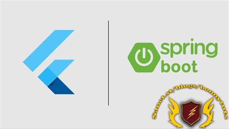 Flutter Spring Coder Et Publier Une Application Mobile SoftArchive
