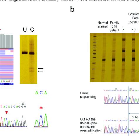Examples Of Mosaic Analysis A Tsc1 Mosaic Mutation Download Scientific Diagram