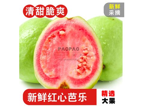 芭乐网红爆款主图详情视频全套高清素材可商用 btpic 站酷ZCOOL