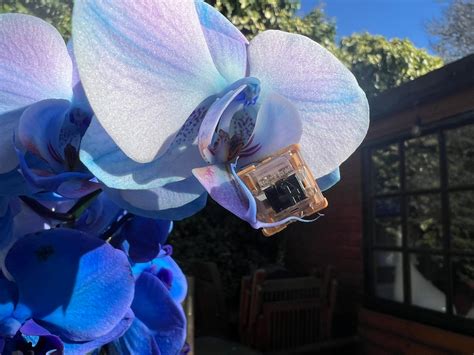 Smooth Like Honey Keebfront Honeycomb Linear Switch Review The Key Source Magazine