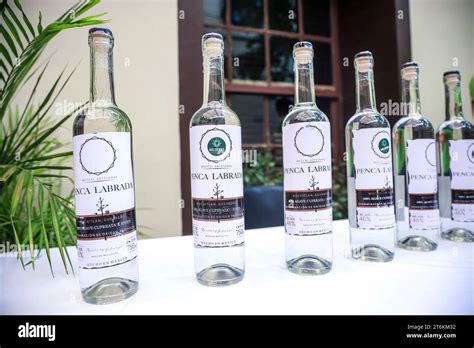 Bacanora Distilled From Agave Originating From The State Of Sonora